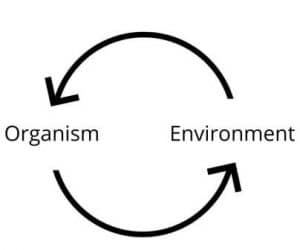 Ep. 38 - Awakening from the Meaning Crisis - Agape and 4E Cognitive ...
